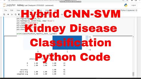 Kidney Disease Classification Hybrid CNN-SVM from Scratch Python Code / Hybrid CNN-SVM Python ...