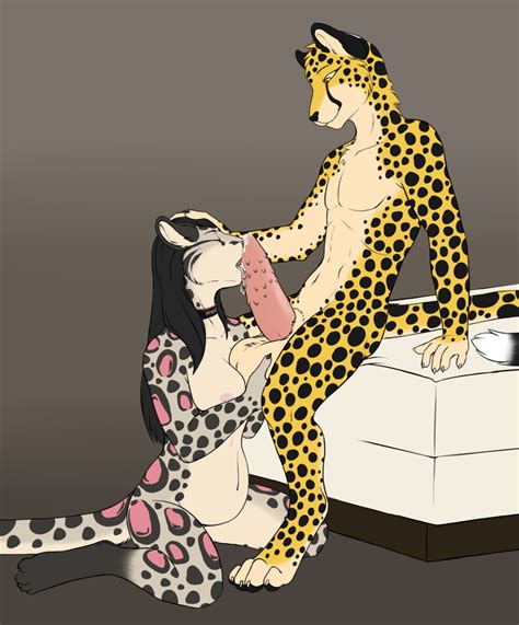 Rule 34 Accelo Anthro Balls Bed Big Balls Big Penis Black Hair Breasts Cheetah Clouded Leopard