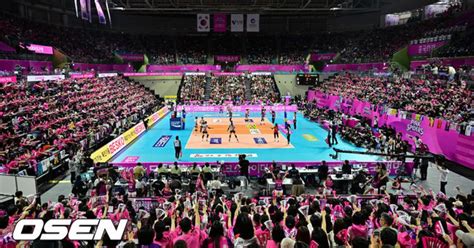 V리그 女 챔피언결정 5차전 시청률 2784배구 열기 6년 만에 돌아온 한국 태국 올스타 슈퍼매치 향한다