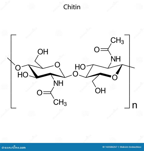 Chitin Chemical Structure Cell Walls Component In Insect Exoskeletons Vector Illustration