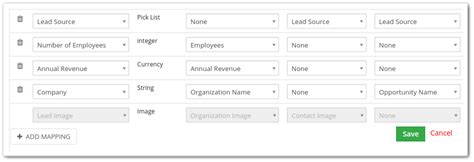 Custom Field Mapping Of Lead And Opportunity Modules Makes Data Input