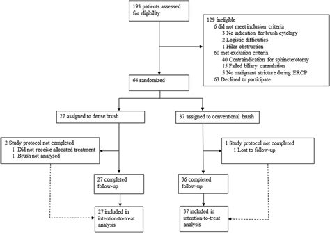 Study Diagram ERCP Endoscopic Retrograde Cholangiopancreatography Download Scientific Diagram