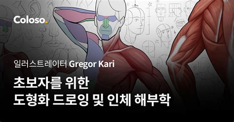 일러스트레이터 Gregor Kari의 도형화 및 미술 해부학을 활용한 인체 드로잉 Coloso