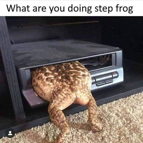 What Are You Doing Step Bro Meme Original Tik Tok Meme