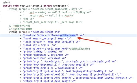 Apijson Function支持脚本引擎，比如javascript、lua等 · Issue 495 · Tencentapijson