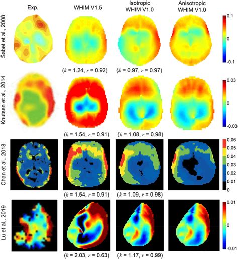 Representative Strain Maps From Four In Vivo Datasets In Comparison