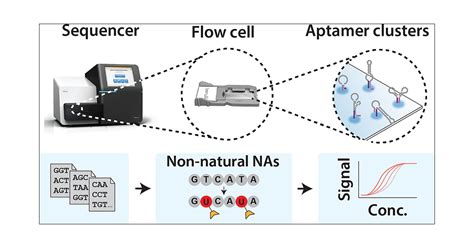 Flow Cell Based Technology For Massively Parallel Characterization Of Base Modified Dna Aptamers