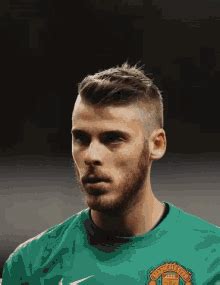 Gea GIF GEA Discover Share GIFs
