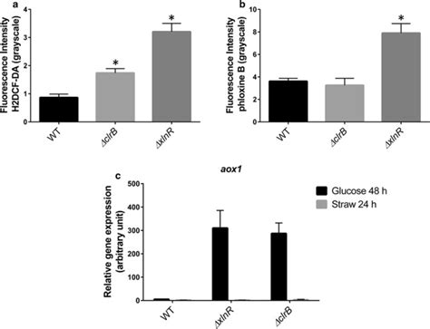 Reactive Oxygen Species Ros Accumulation And Cell Permeability Using