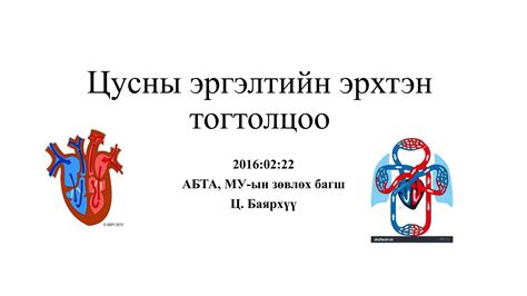 Цусны эргэлтийн эрхтэн тогтолцоо Pptx