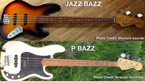 Jazz Bass Vs P Bass Which Fender Icon Fits Your Style Equipboard