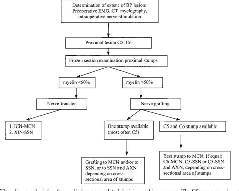 Figure 1 From Evaluation Of Suprascapular Nerve Neurotization After Nerve Graft Or Transfer In