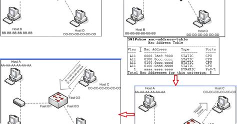 computer networks switches forwarding flooding filtering