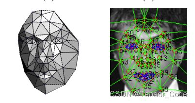 AI和数学领域的咖啡甜心 一 DeepFace基础 CSDN博客