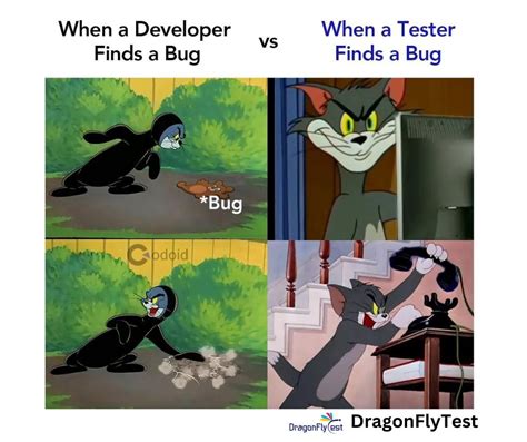 Dragonfly Testing Solutions Private Limited On Linkedin