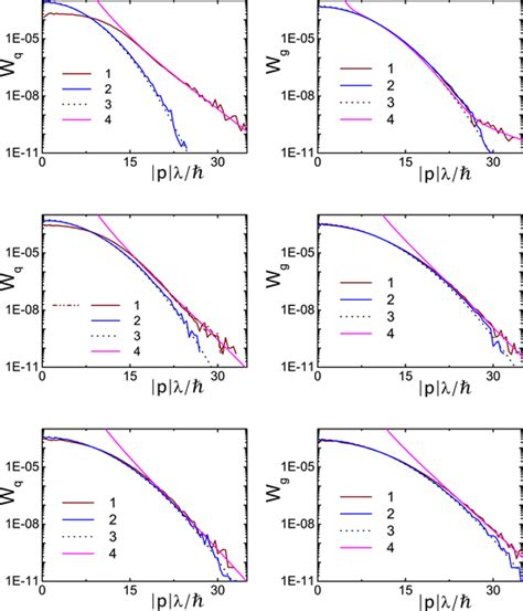 Momentum Distribution Functions In Quark Gluon Plasma