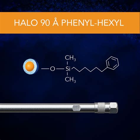 Halo® 90 Å Phenyl Hexyl Column Reversed Phase Column