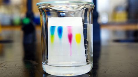Chromatography Guide For Ks3 Chemistry Students Bbc Bitesize