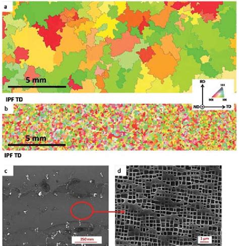 Ebsd Characterization In A Plane Perpendicular To The Solidification
