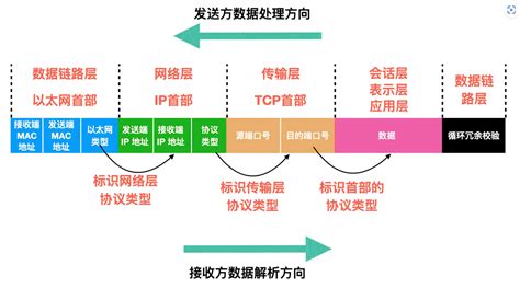 【tcp ip协议栈】1 tcp ip协议栈概述（体系、四 五层模型、ip、mac） tcpip堆栈 csdn博客
