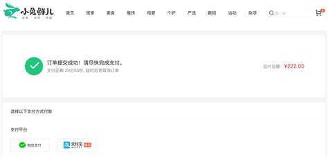 支付页 丨2023前端最新项目vue3小兔鲜 知乎