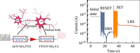 Acs Omega Acs Publications