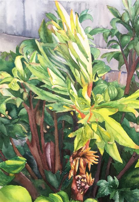 Susan Mankowski A2ac