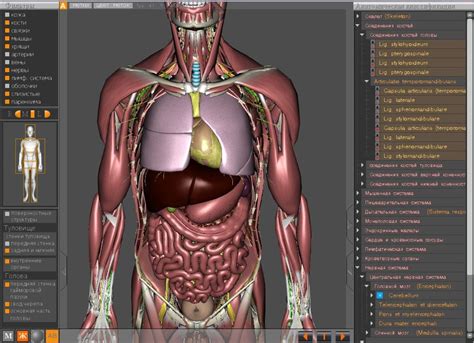 3D-программа Виртуальная Анатомия: купить для школ и ДОУ с доставкой по ...