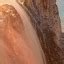 Grplteens Tumblr Tumbex