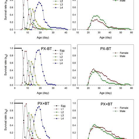 Age Specific Survival Rate L X Female Age Stage Specific Download Scientific Diagram