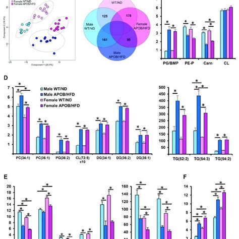 Differences In Lipidomic Patterns In Response To Hyperlipidemia And Sex