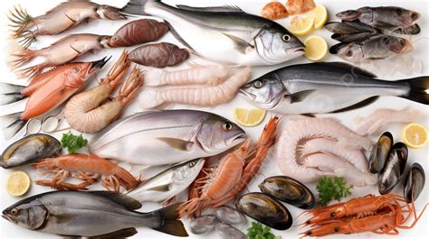 다른 종류의 생선과 해산물 그림이 있는 해산물 목록 목록 해물 배경 일러스트 및 사진 무료 다운로드 Pngtree