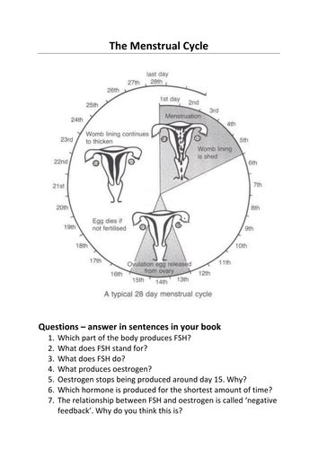 Gcse Aqa Menstrual Cycle And Controlling Fertility Teaching Resources
