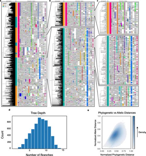 Phylogenetic Tree Of Life High Resolution Evolutionary Tree Of Life
