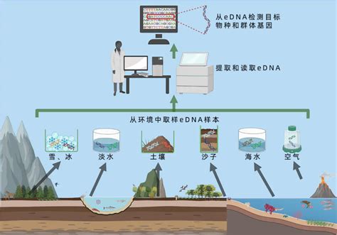 你的dna，无处不在 虎嗅网