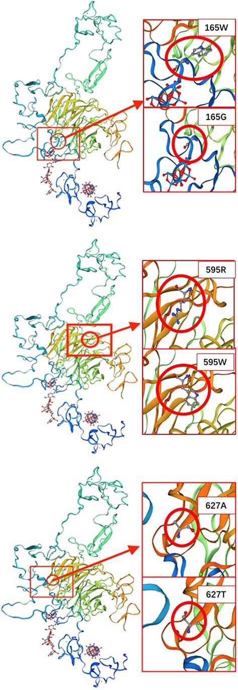 Simulated Three‐dimensional Molecular Structure Model Of The Identified Download Scientific