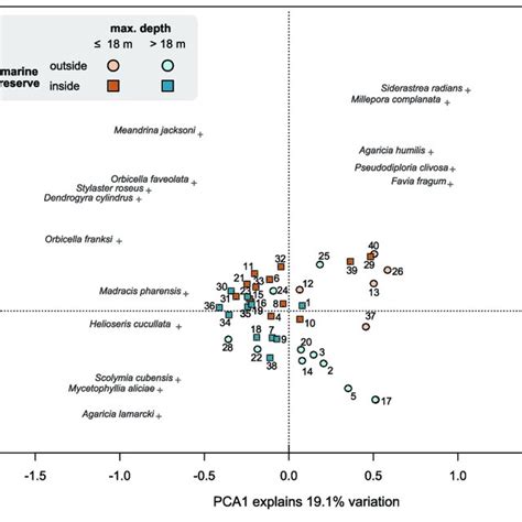 principal component analysis pca visualization of coral fauna
