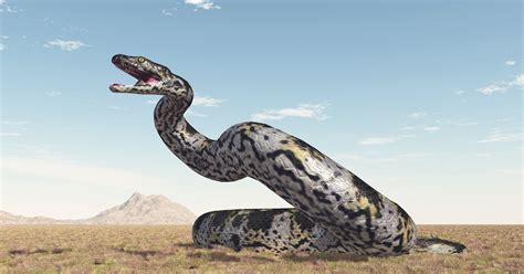 This Prehistoric Snake Could Be The Largest To Ever Live On Earth At 49