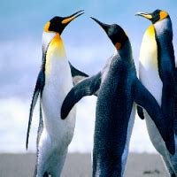 C Datetime格式的数据怎么去掉时分秒只要年月日 CSDN社区