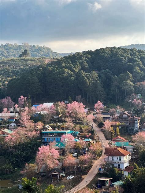 รีวิว หมู่บ้านสีชมพู บ้านร่องกล้า แกลเลอรีที่โพสต์โดย Phuyingnawiang Lemon8