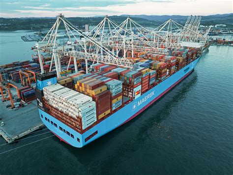 Dtu Management Empty Container Repositioning In Liner Shipping Empty