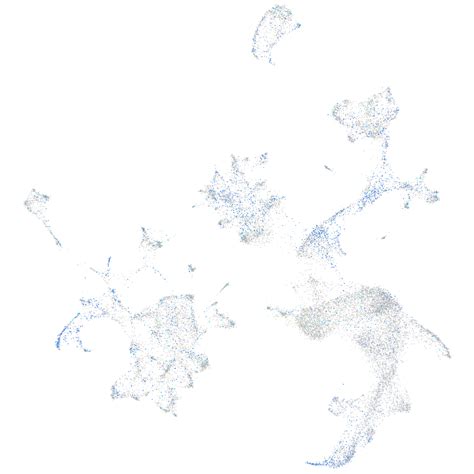 Ncdn Hematopoietic Vasculature Daniocell