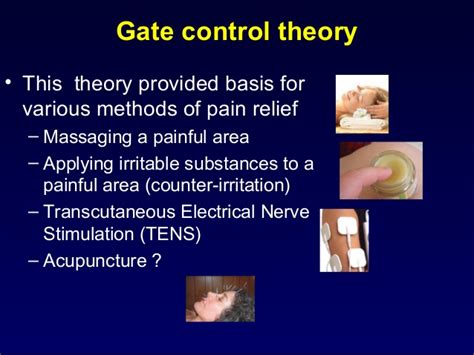 Exams And Me Gate Control Theory