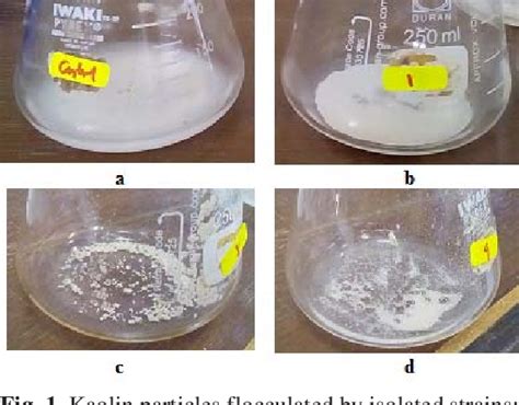 Figure 1 From Isolation And Identification Of Novel Bioflocculant Producing Bacteria From Palm