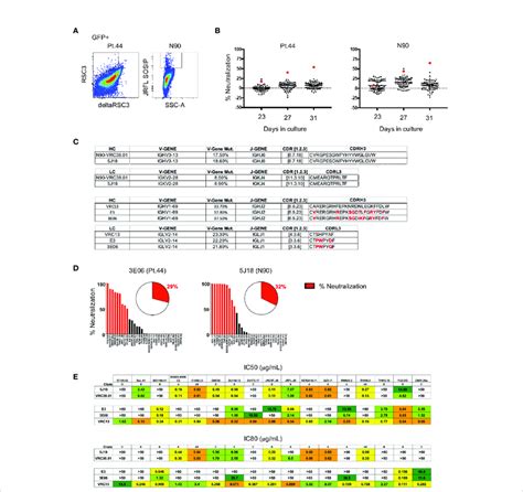 Isolation Of Bnabs From Hiv 1 Infected Individuals A Flow Cytometry