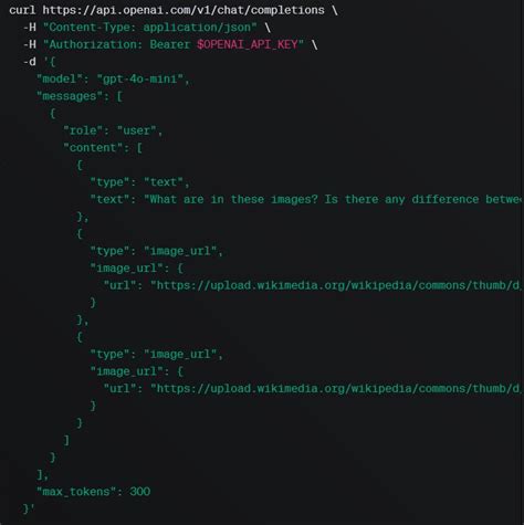 Accessing The Image List And Sending It As A Variable Through Api