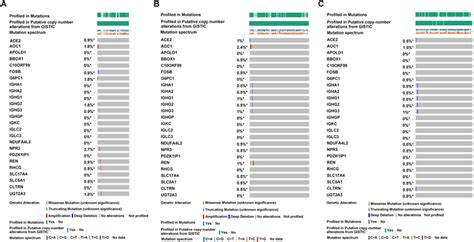Mutation Information Of The Genes A C The Mutation Frequencies Of 26