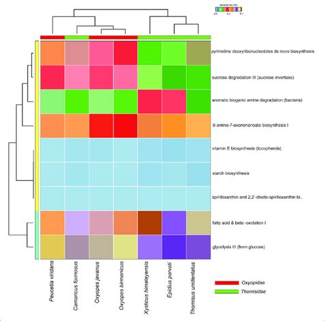 Bar Plot Based On Picrust2 Analysis To Predict The Functional Download Scientific Diagram