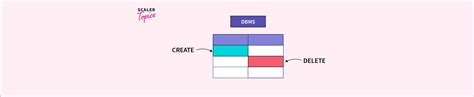 Create A Database In MySQL Scaler Topics