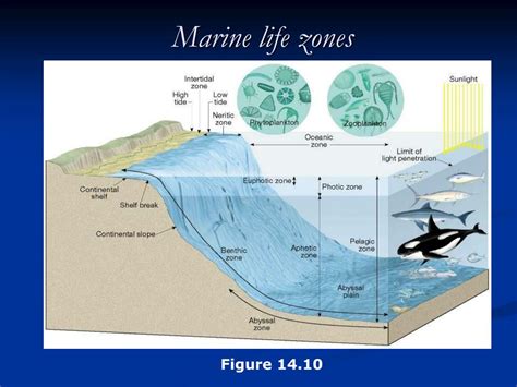 Ppt Ocean Water Chapter 14 Powerpoint Presentation Free Download